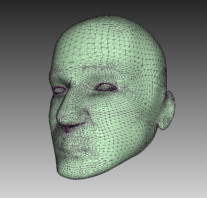 Figure 2. CAD model of plastic avatar head.