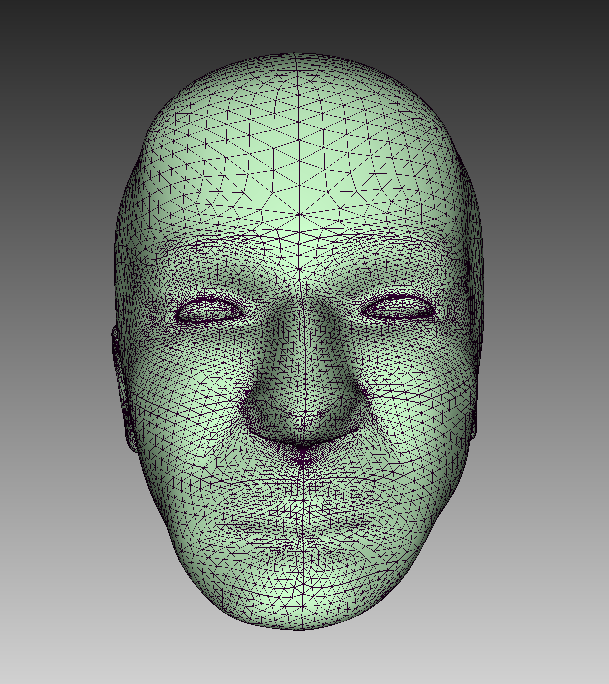 Figure 2. CAD model of plastic avatar head.