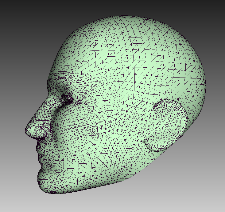 Figure 2. CAD model of plastic avatar head.