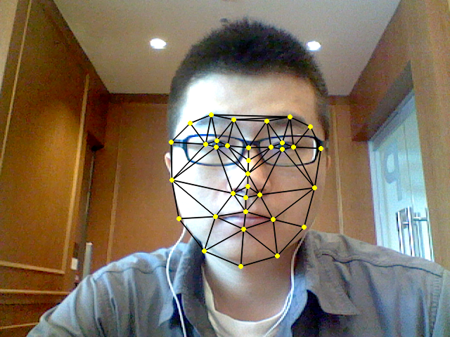 Figure 6. (From left to right) Original detected facial feature points ...